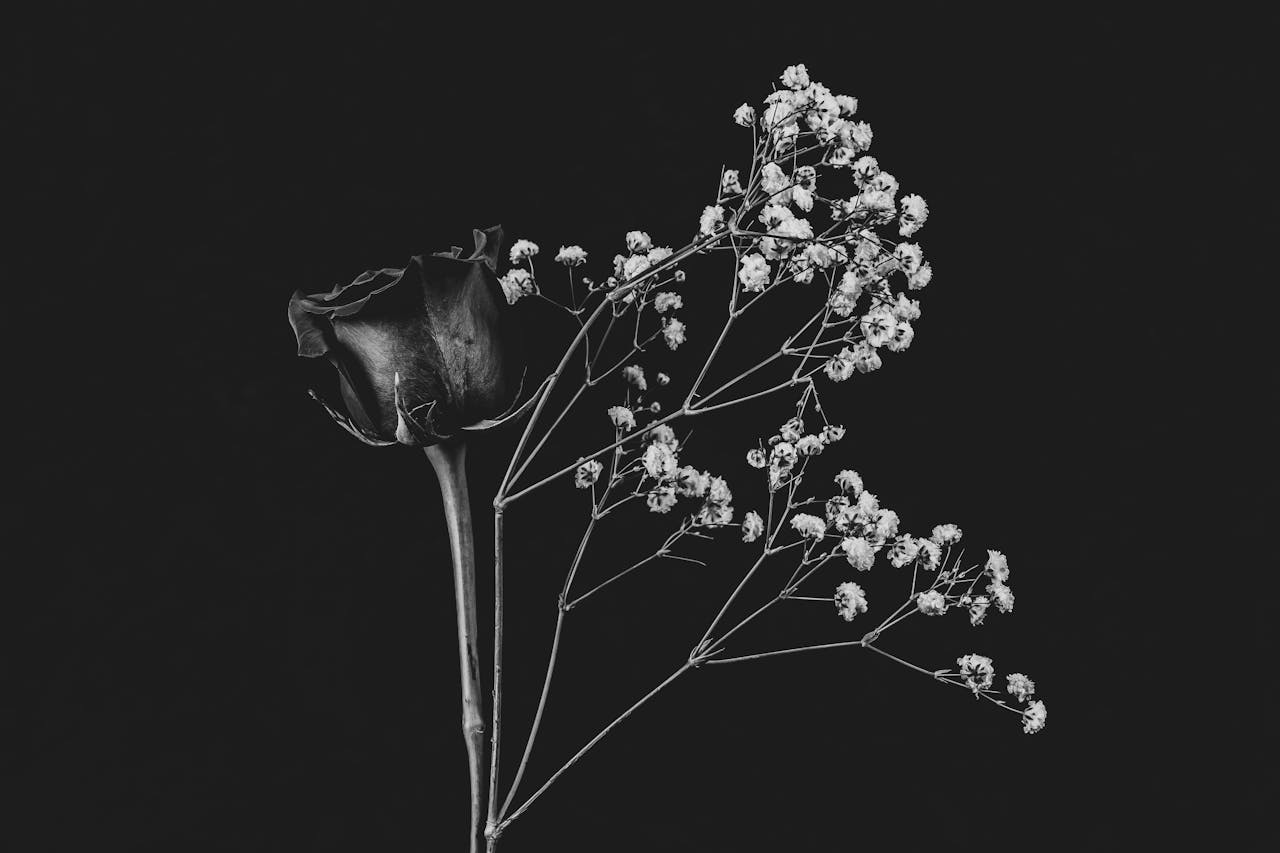 Na Pooch Parizadon Se Ye Hijr Kaise Jheela Hai (Lyrics) - Kalaam Gah